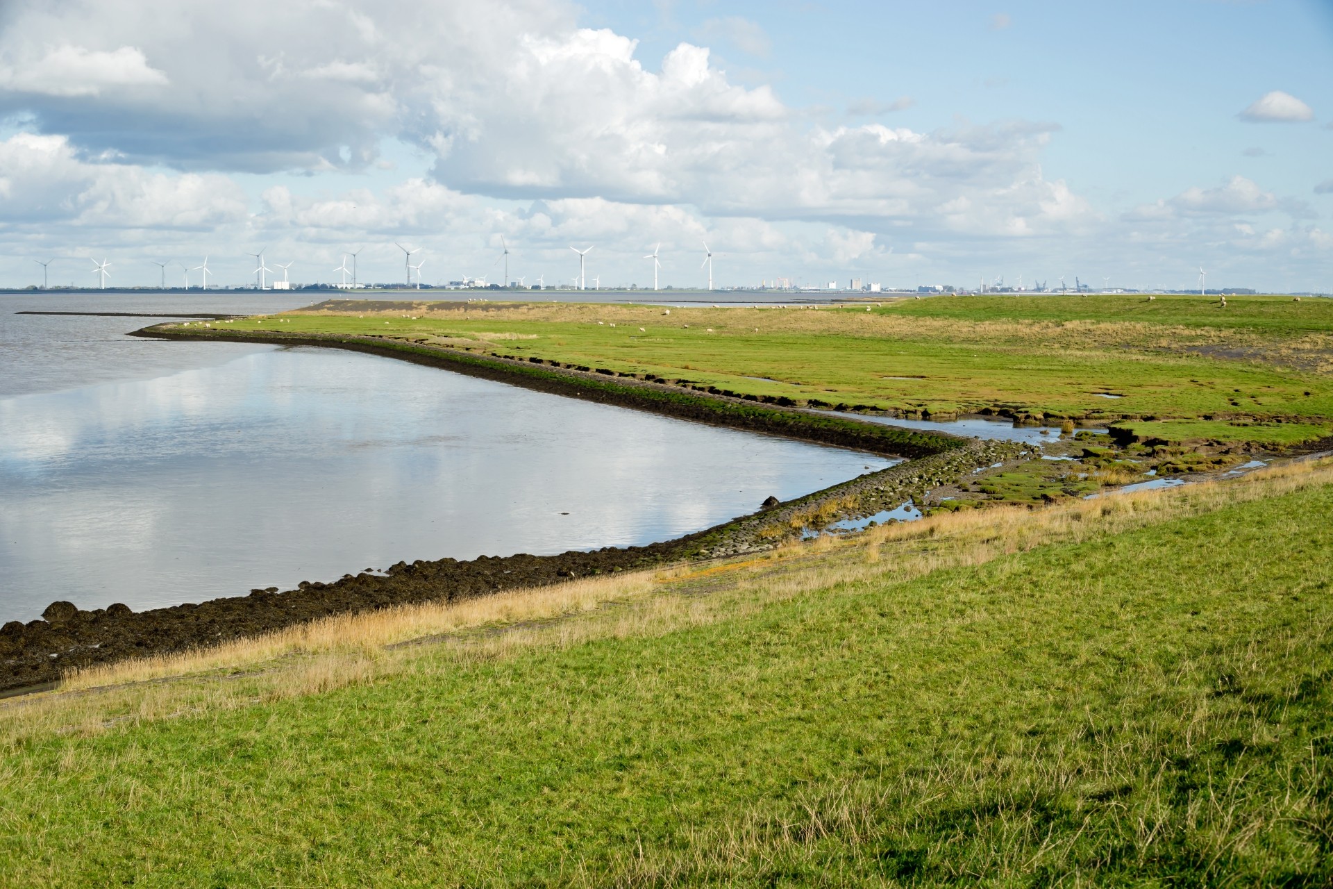 8 december: wandeling naar de Punt van Reide | Noorderland