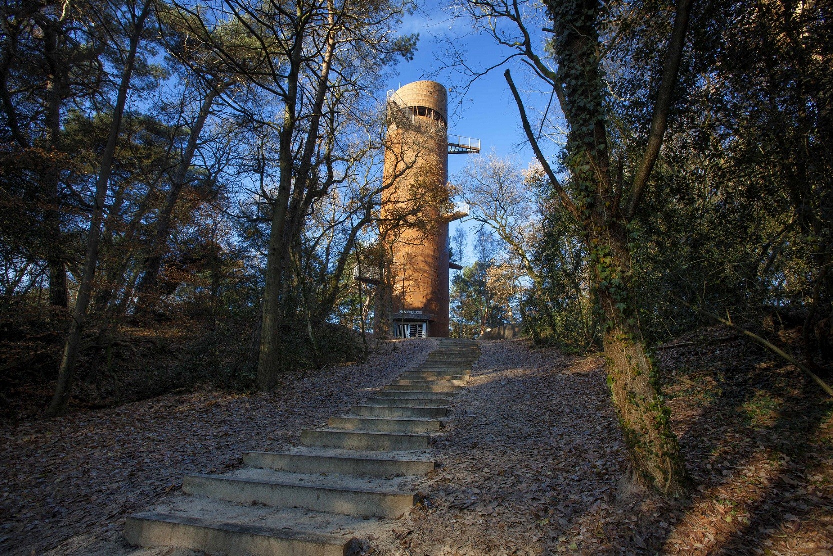 12 juli: Zomeravondwandeling op de Bosberg | Noorderland
