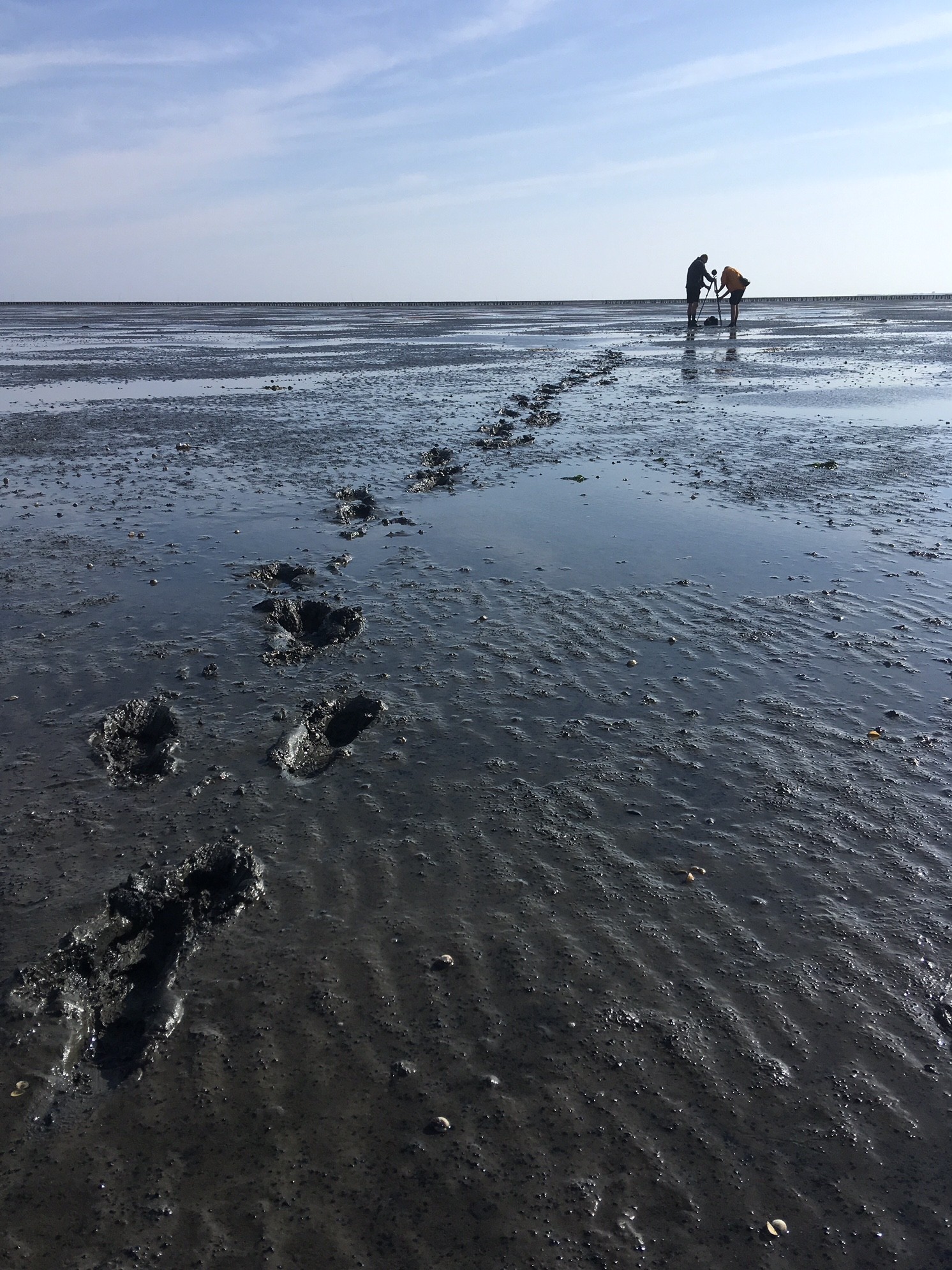 vanaf 4 oktober: virtueel wadlopen | Noorderland