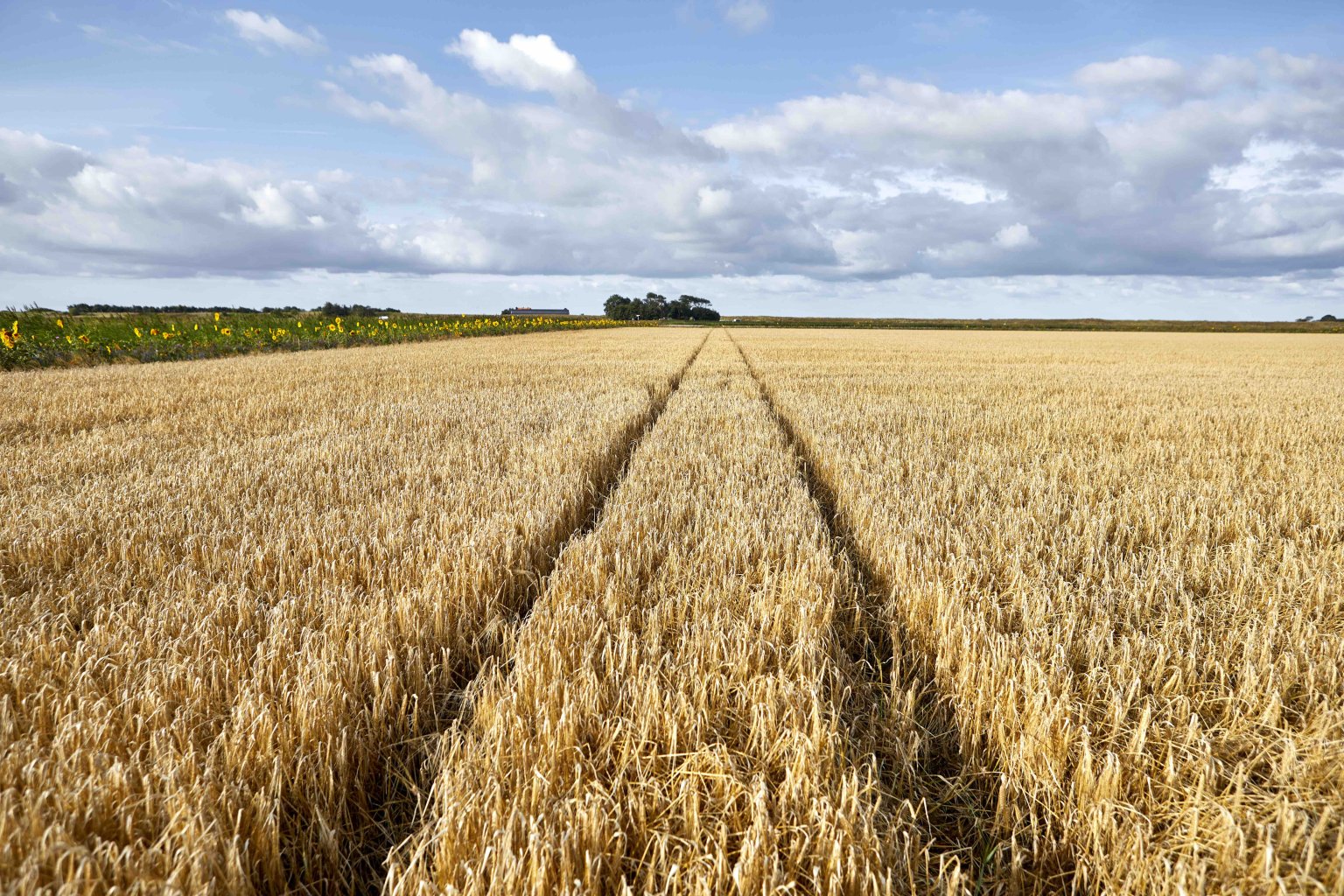 3x de mooiste routes van het Waddengebied
