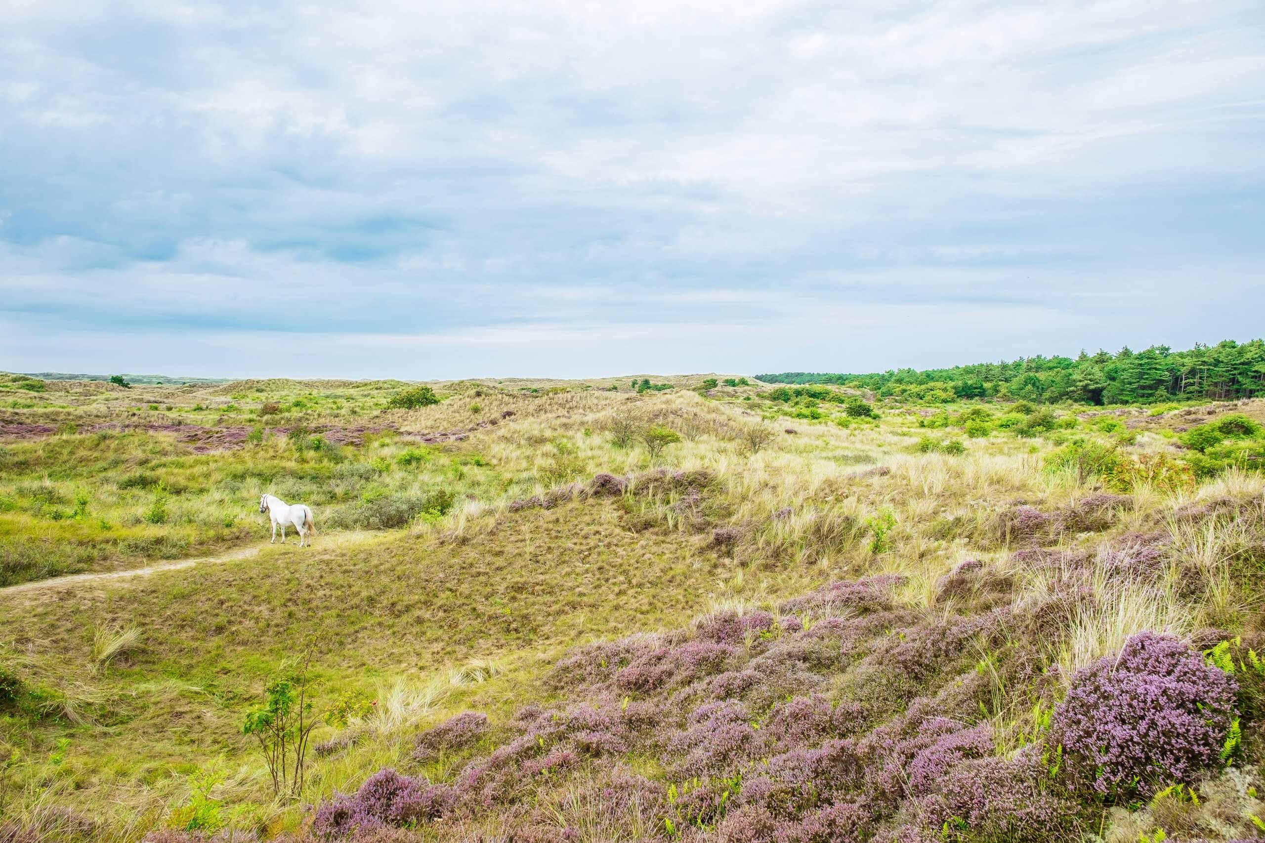 5x de mooiste routes in het Waddengebied