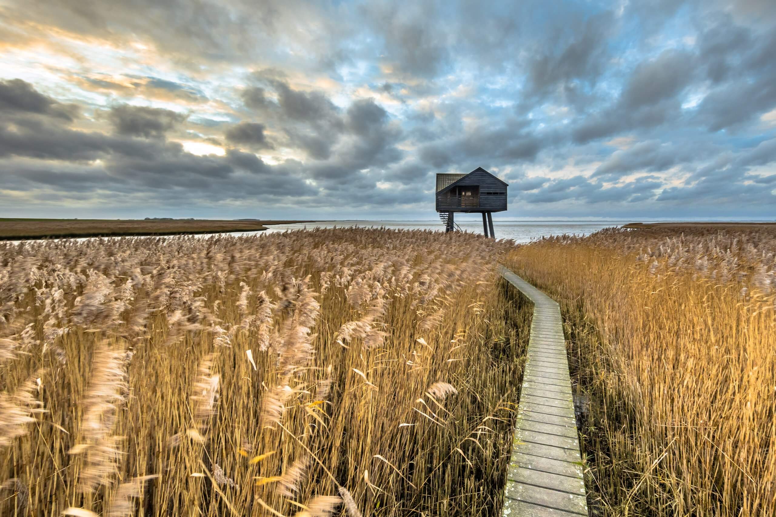 5x de mooiste routes in het Waddengebied