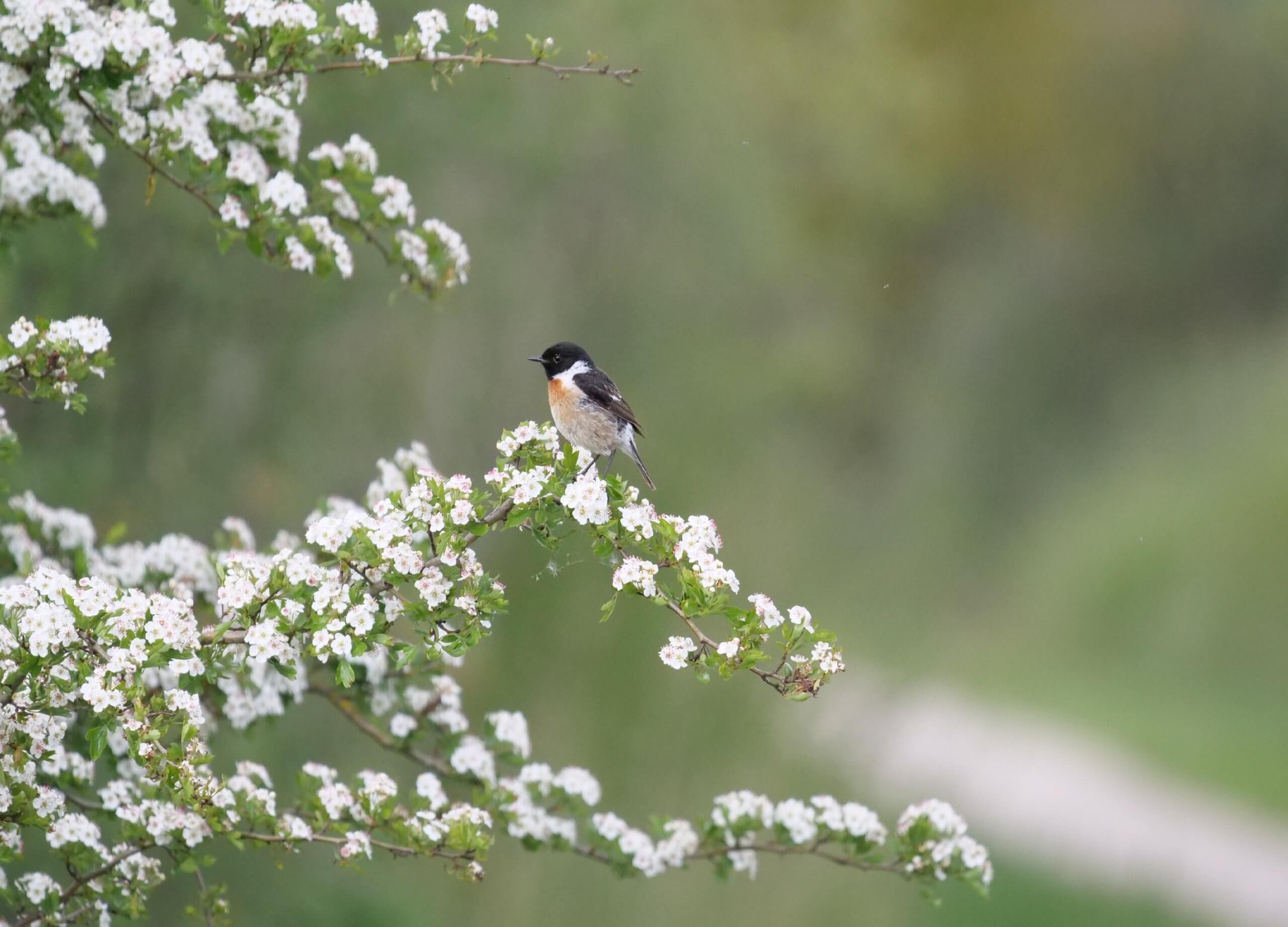 3x de leukste uittips voor het paasweekend